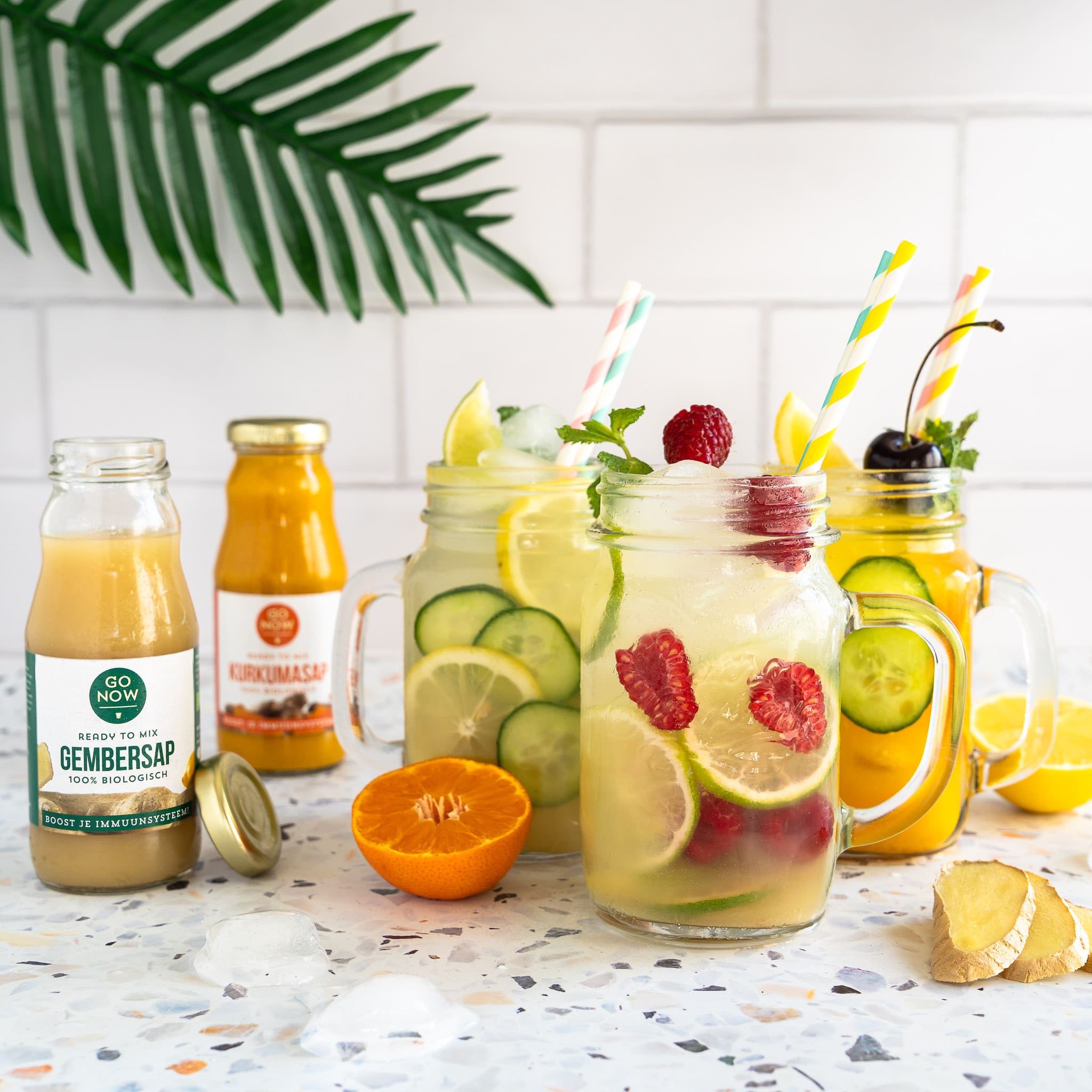 3 Verfrissende Drankjes voor de Zomer! | Alcoholvrij | Gember - Go Now